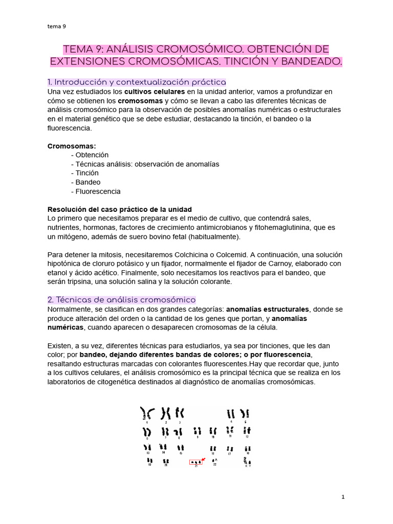 Análisis Cromosómico: Técnicas y Métodos | PDF | Citogenética | Cromosoma