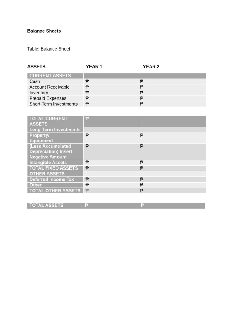 Comprehensive Balance Sheet Overview | PDF
