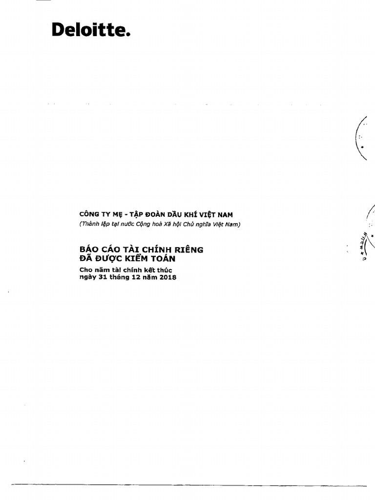PetroVietnam Baocaotaichinh Nam 2018 KT Congtyme | PDF