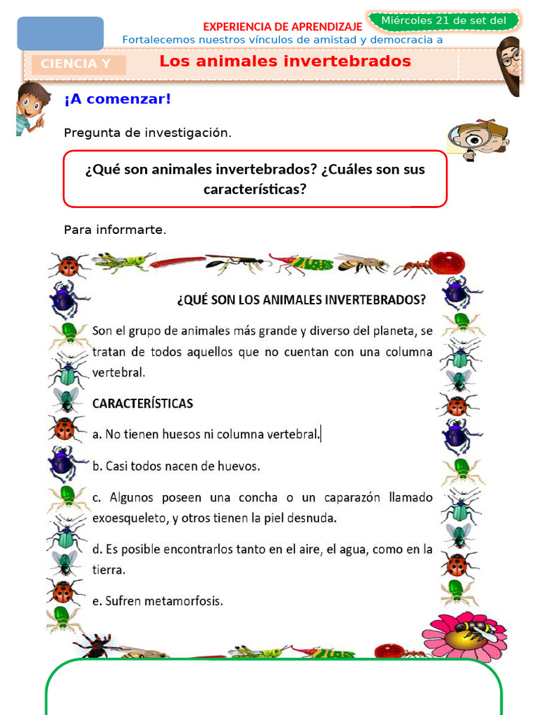 D3 A1 FICHA Los Animales Invertebrados | PDF