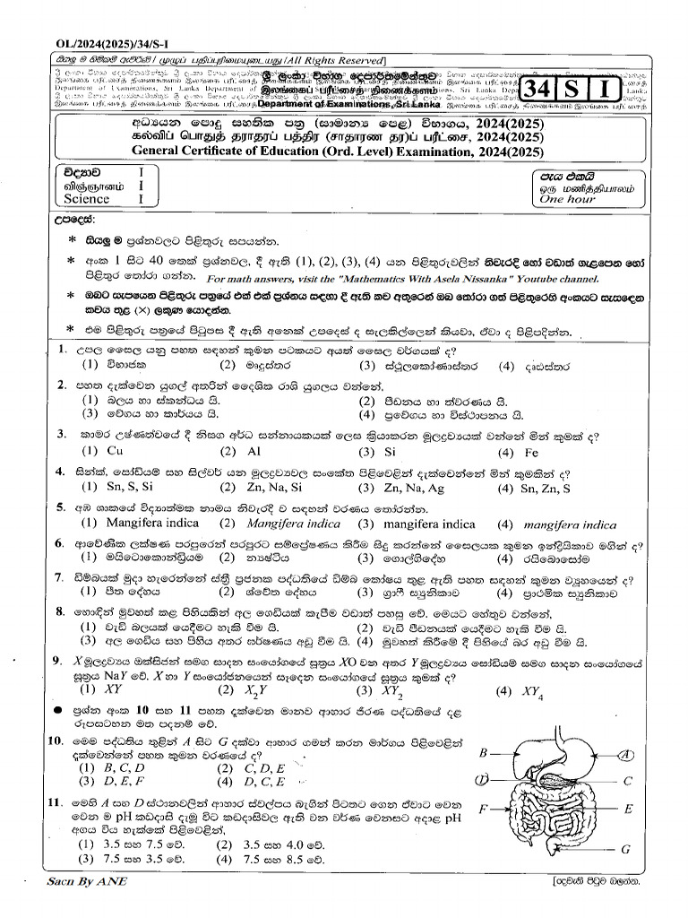 2024 (2025) OL Scienc Paper YT Mathematics With Asela Nissanka | PDF