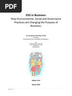 WSP Global Esg Statement en | PDF | Sustainability | Risk