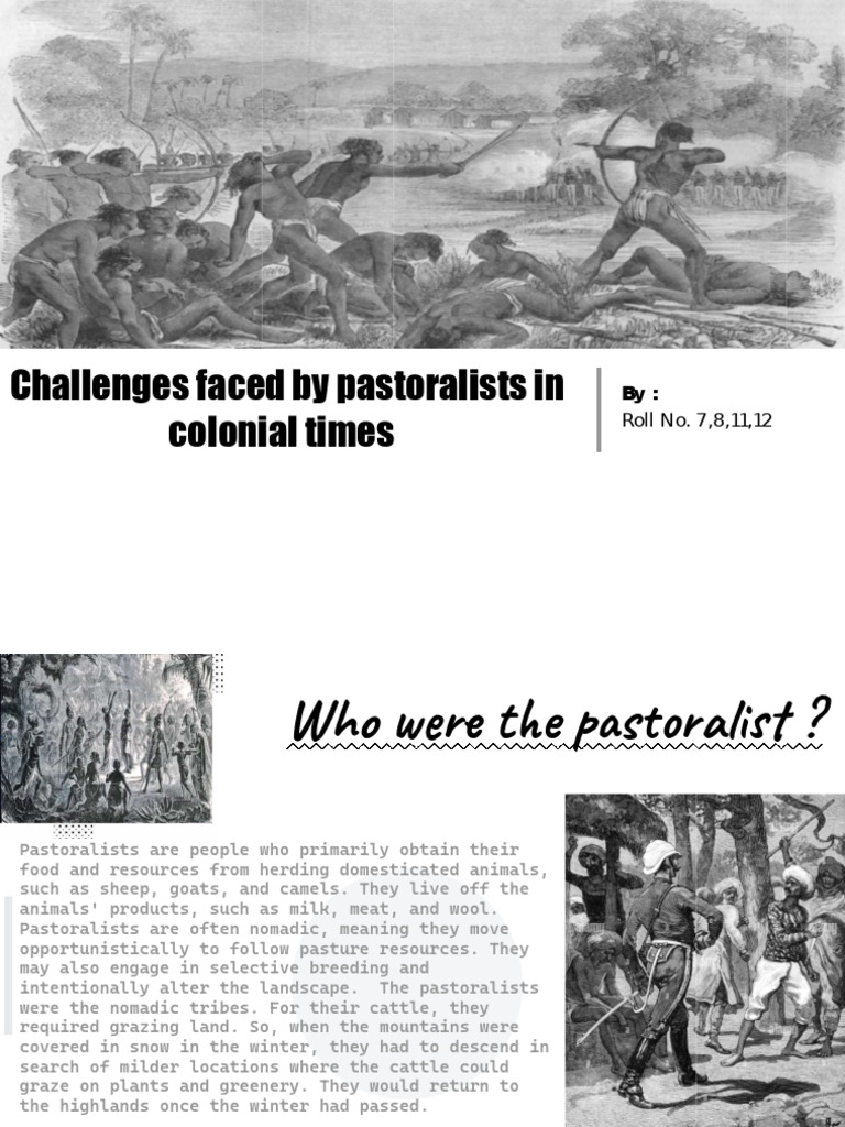 Colonial Challenges for Pastoralists | PDF | Pastoralism | Grazing