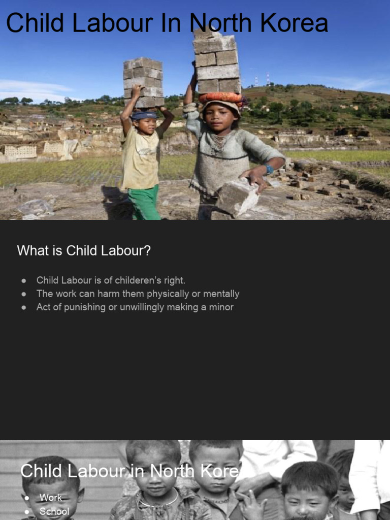 Child Labour in North Korea | PDF