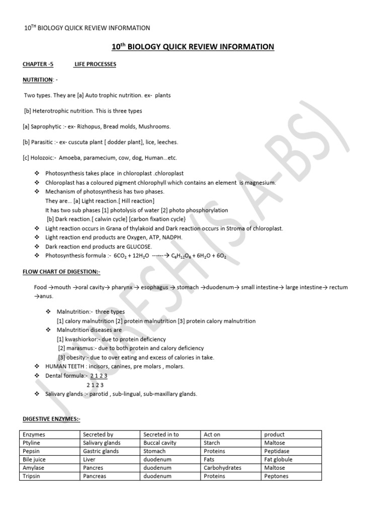 10th Grade Biology Quick Review | PDF | Heredity | Hormone