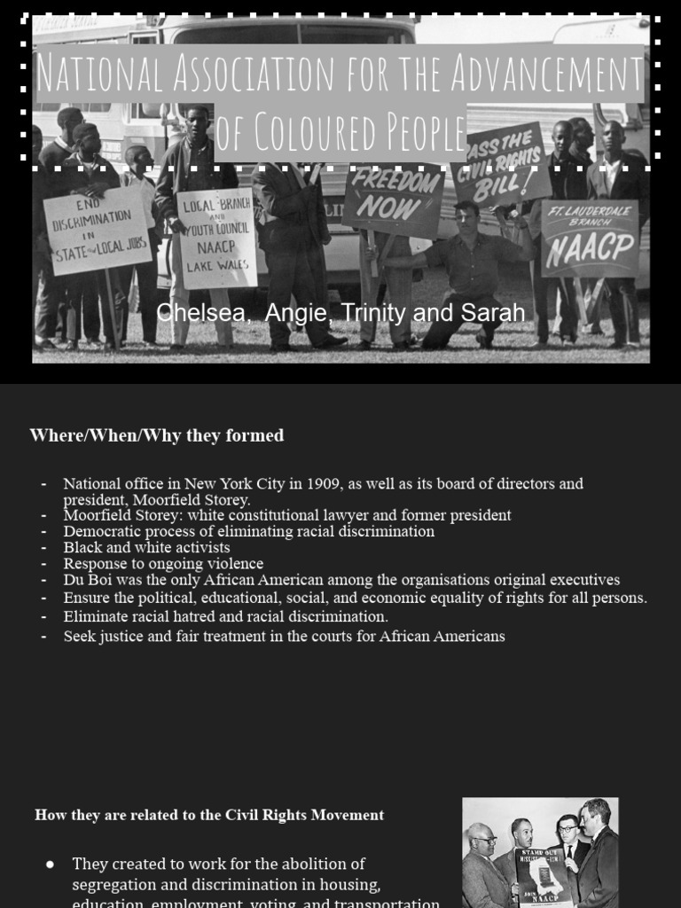 Modern History Civil Rights | PDF | Brown V. Board Of Education | W. E ...