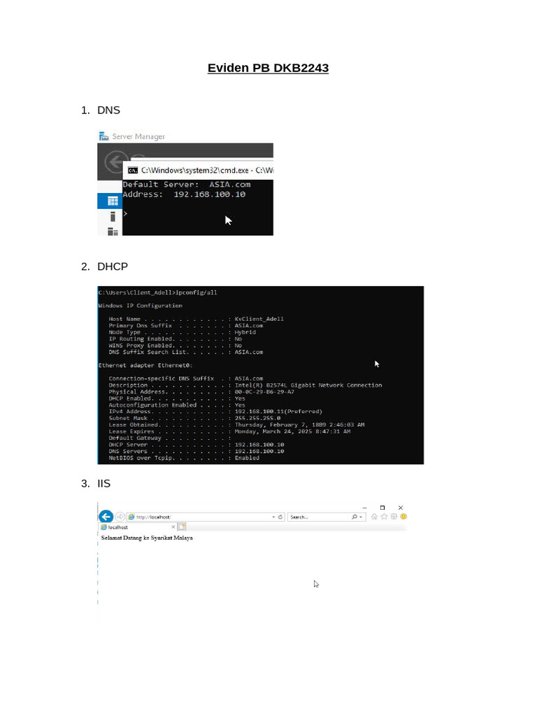 DNS, DHCP, IIS Overview for Eviden PB DKB2243 | PDF