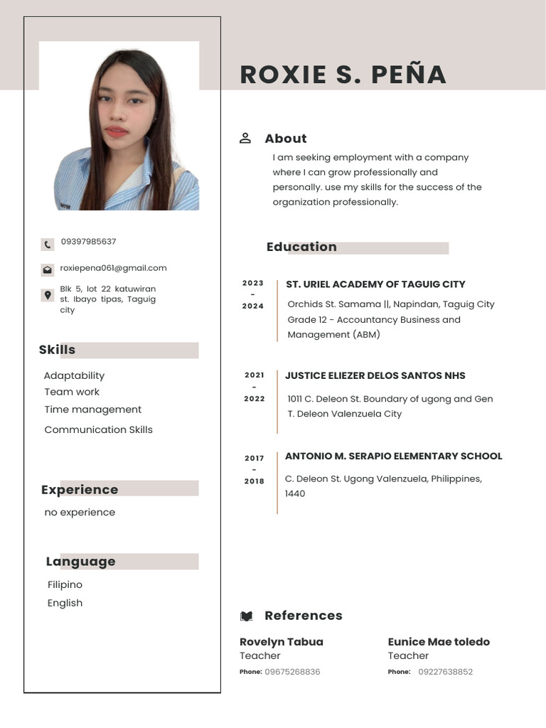 Simple Professional CV Resume PDF | PDF