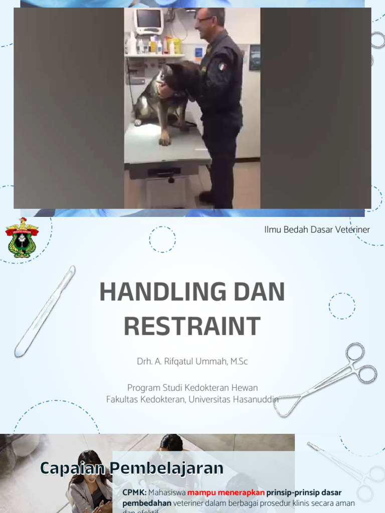 IBDV Pertemuan 1 Handling dan Restraint | PDF