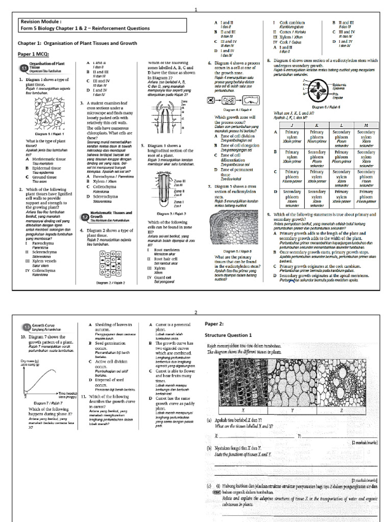 F5 Bio B1 & B2 Reinforcement Questions | PDF