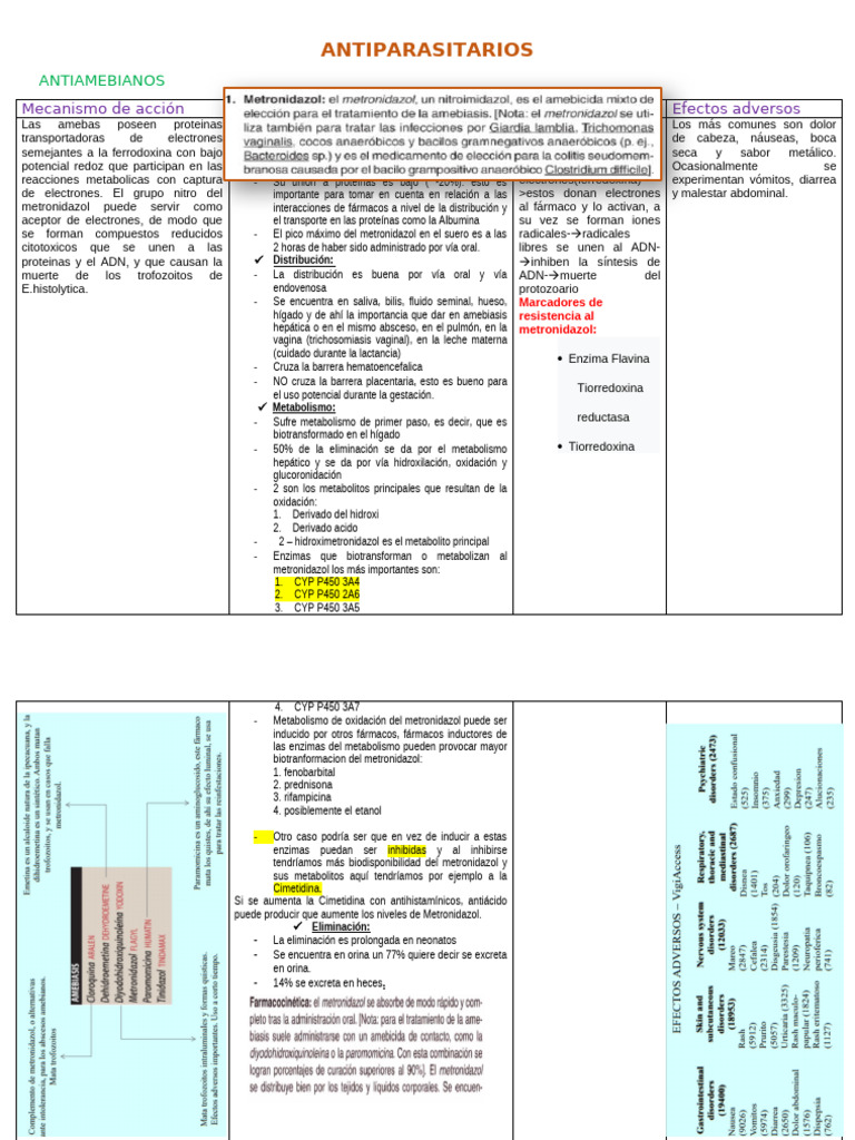 ANTIPARASITARIOS | PDF | Citocromo P450 | Especialidades Medicas