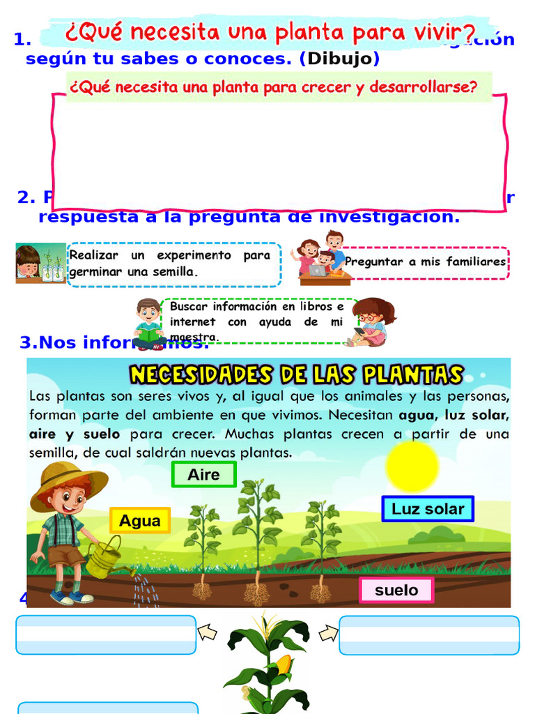 Necesidades y crecimiento de las plantas | PDF