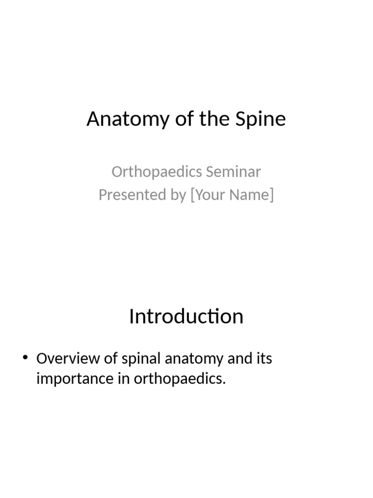 Anatomy of Spine | PDF | Vertebral Column | Vertebra