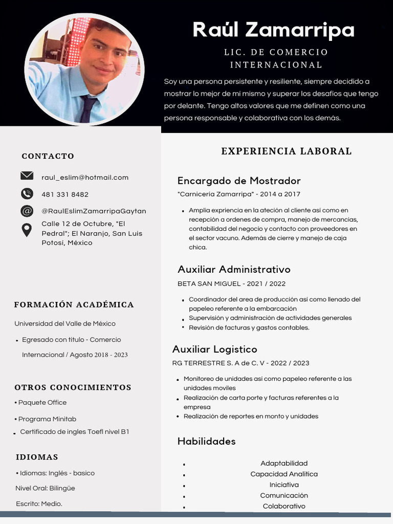 CV Raul Zamarripa 2 | PDF | Business