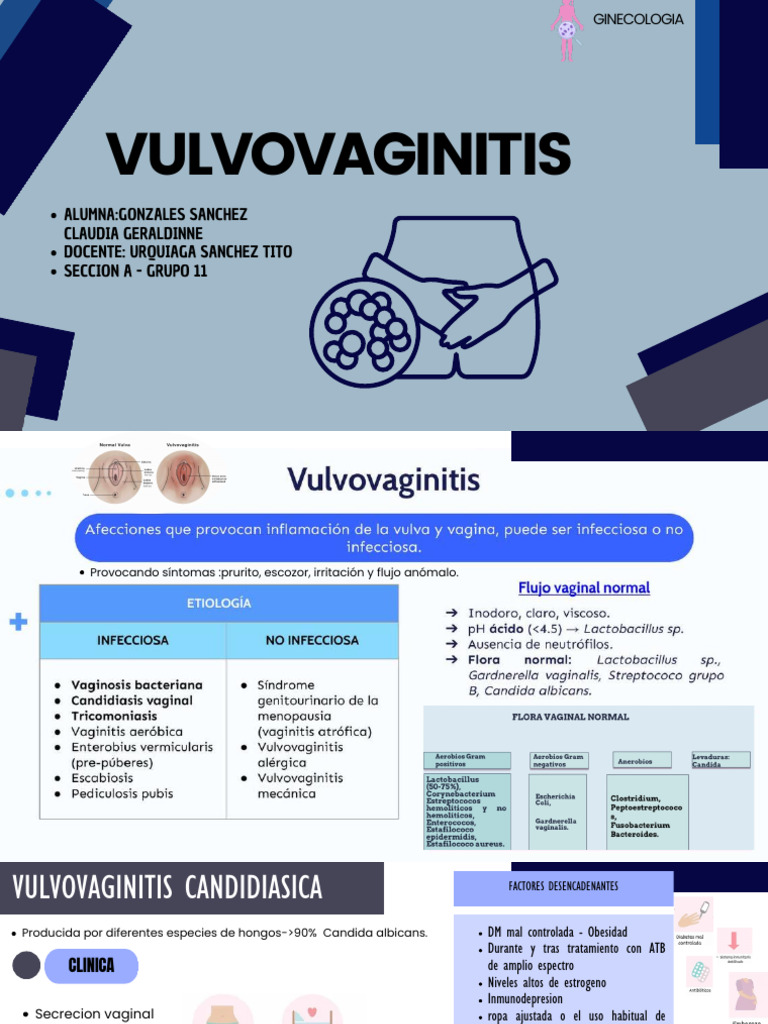 VULVOVAGINITIS | PDF | VIH | Inmunología