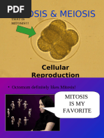 Meiosis: PMAT Stages Explained | PDF