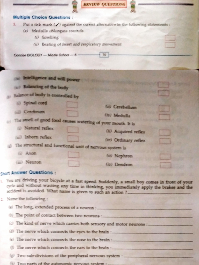 Biology tb exercise | PDF