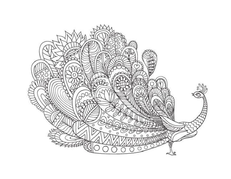 Pavo Real Coloring Page | PDF