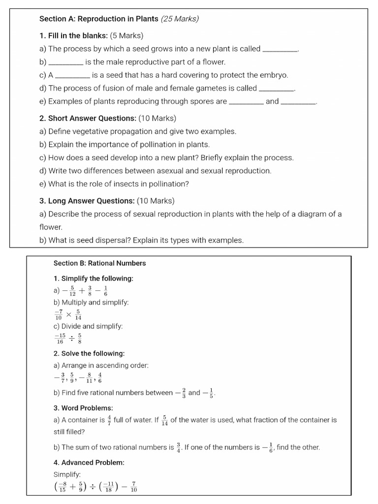Class 7 Final Test | PDF