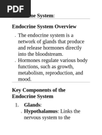 Endocrine System Worksheet | PDF | Endocrine System | Hormone