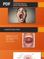 Musculos Del Velo Del Paladar | PDF | Tejido suave | Sistema ...