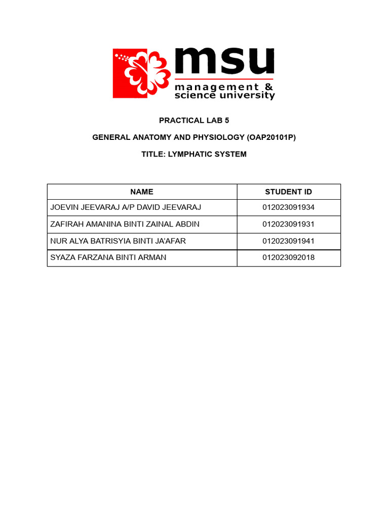 Anatomy Lab 5 | PDF | Lymphatic System | Lymph