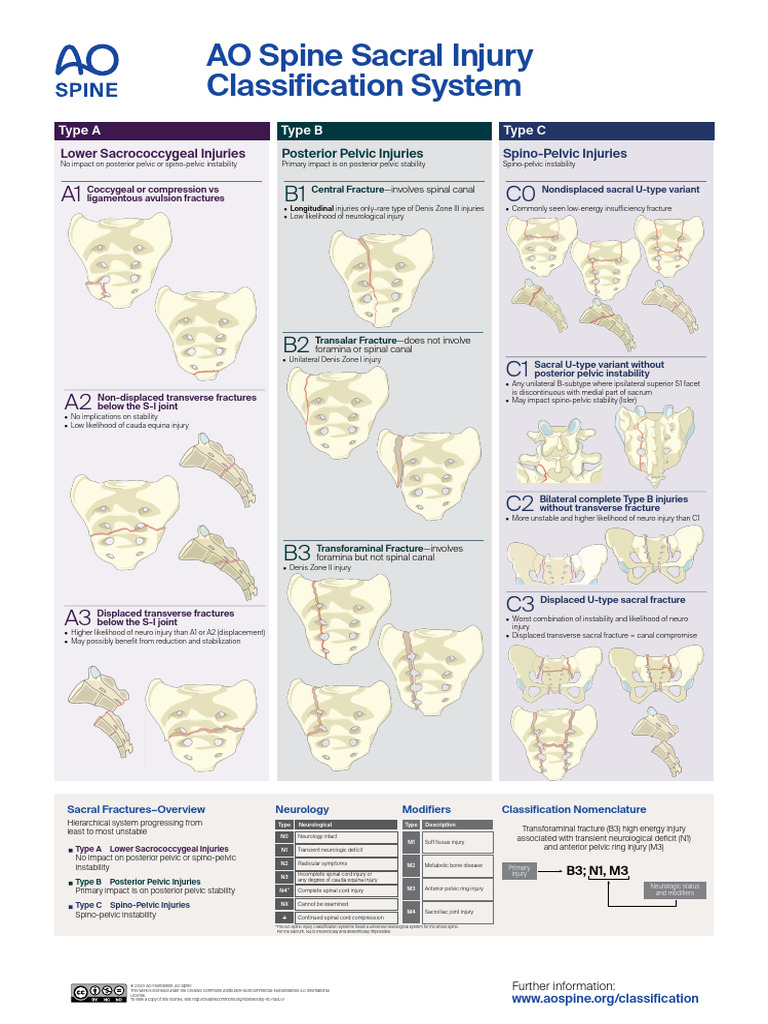 AOS Classification SACRAL | PDF | Pelvis | Vertebral Column