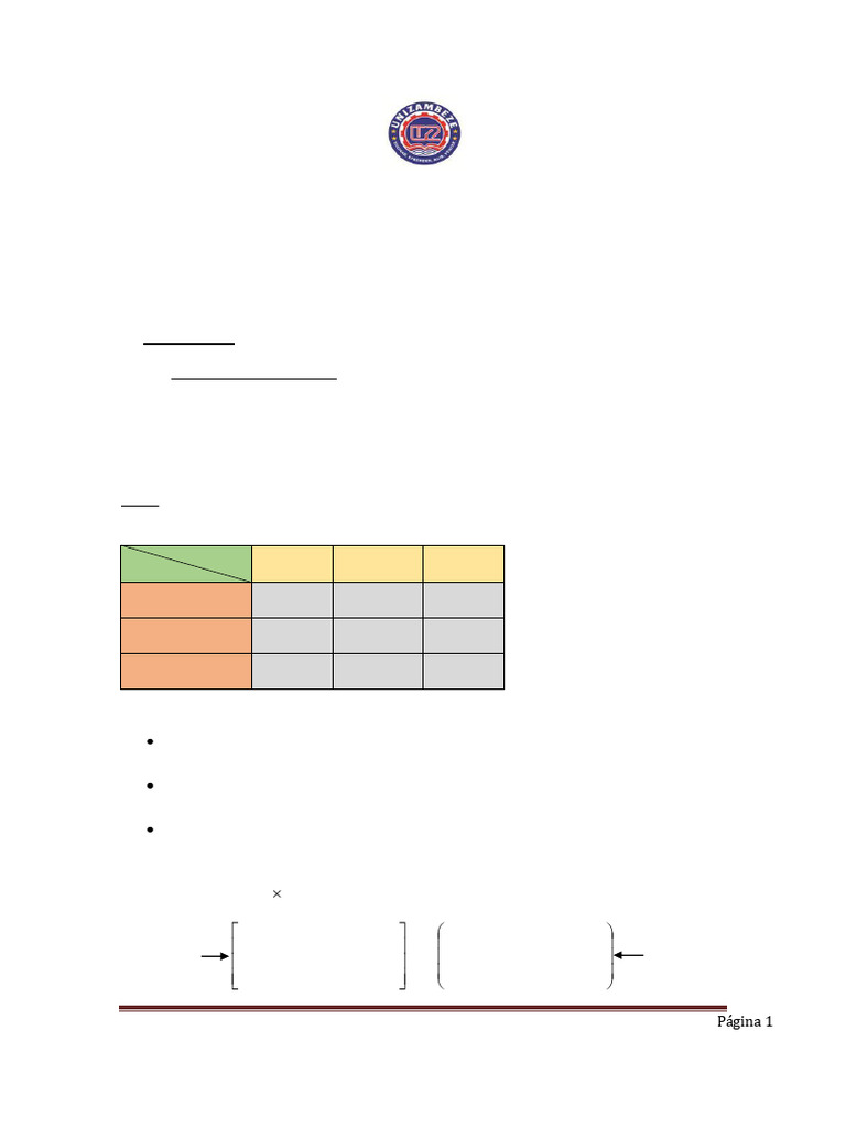 Definição de Matrizes em Matemática | PDF | Matriz (Matemática ...
