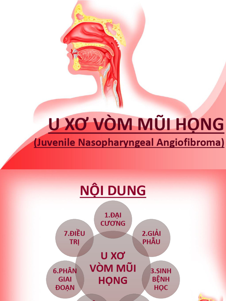 U Xo Vom Mui Hong | PDF