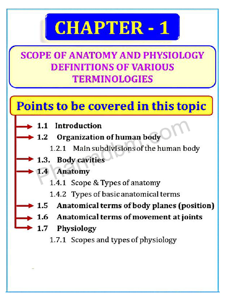 Human Anatomy and Physiology Chapter 1 | PDF