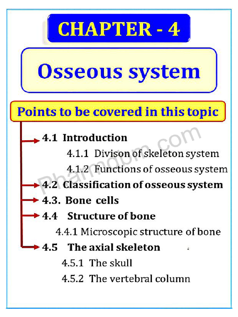 Human Anatomy and Physiology Chapter 4 | PDF