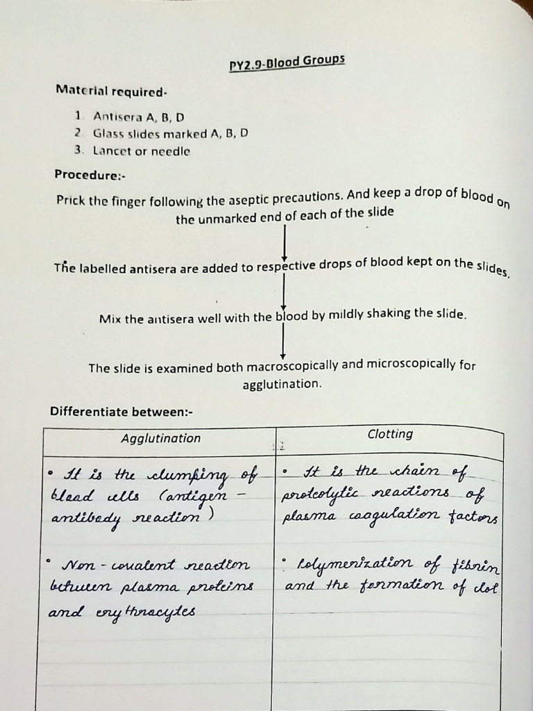 Blood Group Testing Procedure | PDF