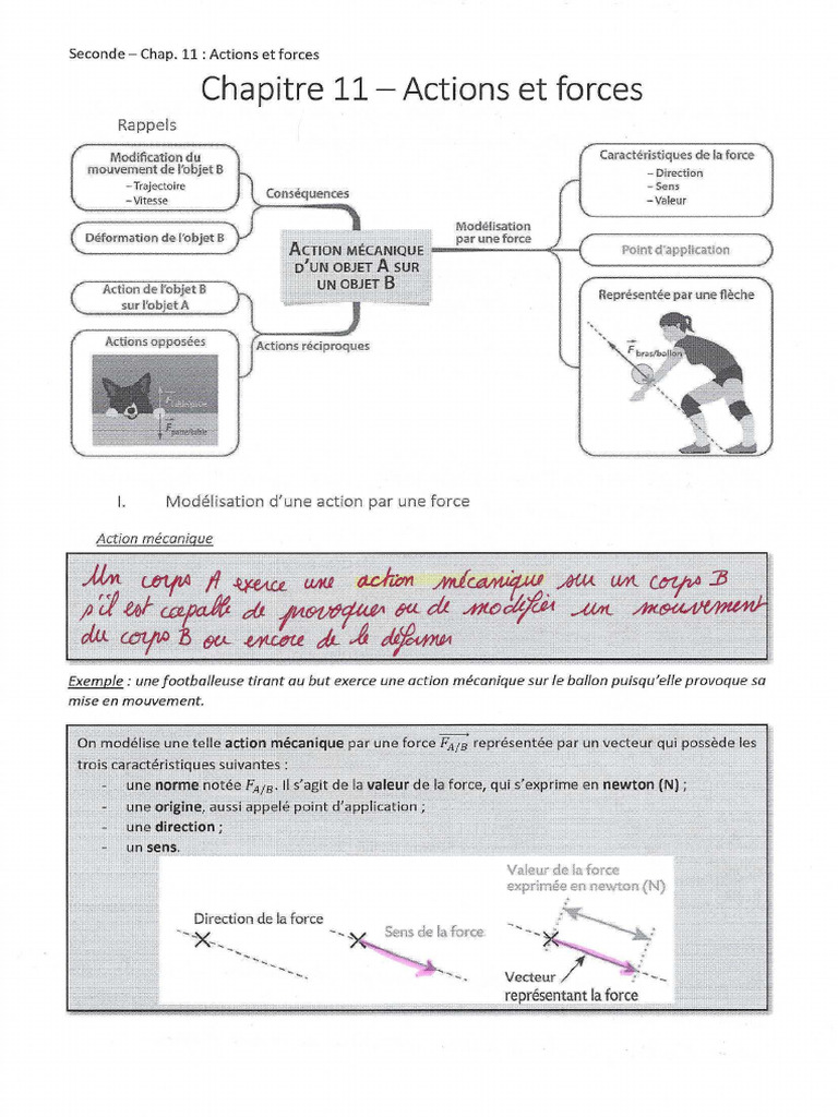 Correction Du Chapitre 11 Les Forces | PDF