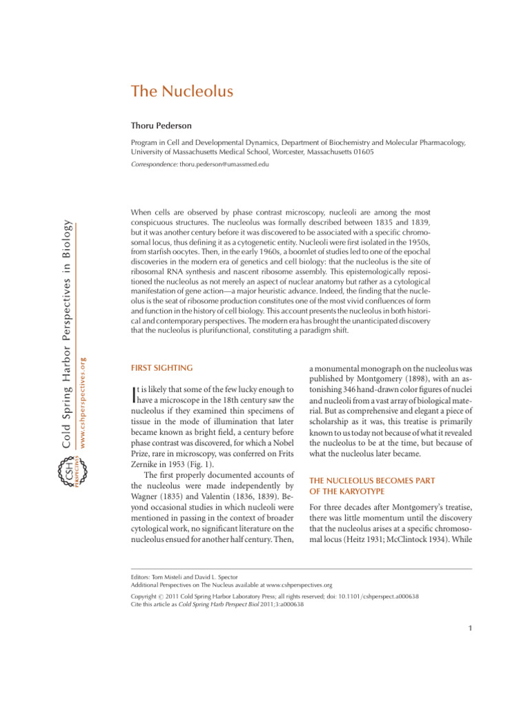 Pederson - 2011 - The Nucleolus | PDF | Cell Nucleus | Rna