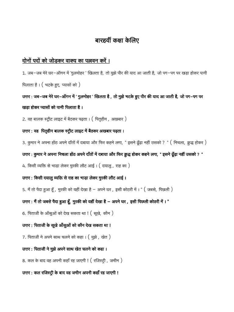 +2 Hindi | PDF