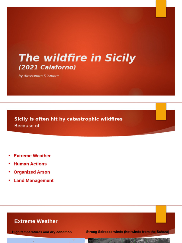 Wildfires in Sicily: Calaforno Impact | PDF | Wildfire | Sicily