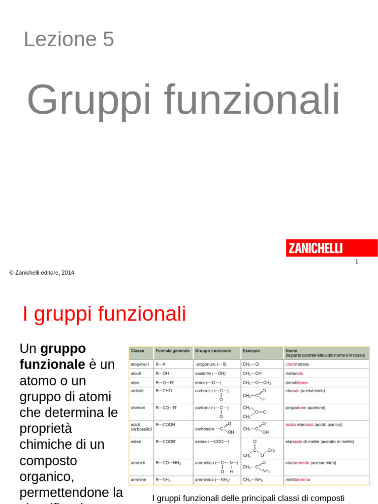 Gruppi Funzionali DEF | PDF