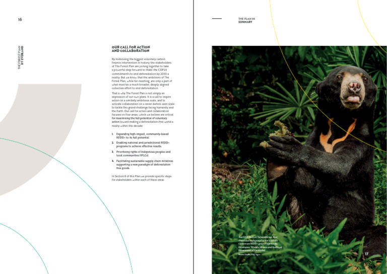 The - Forest - Plan - by - Everland 9 | PDF | Environment | Economy And ...