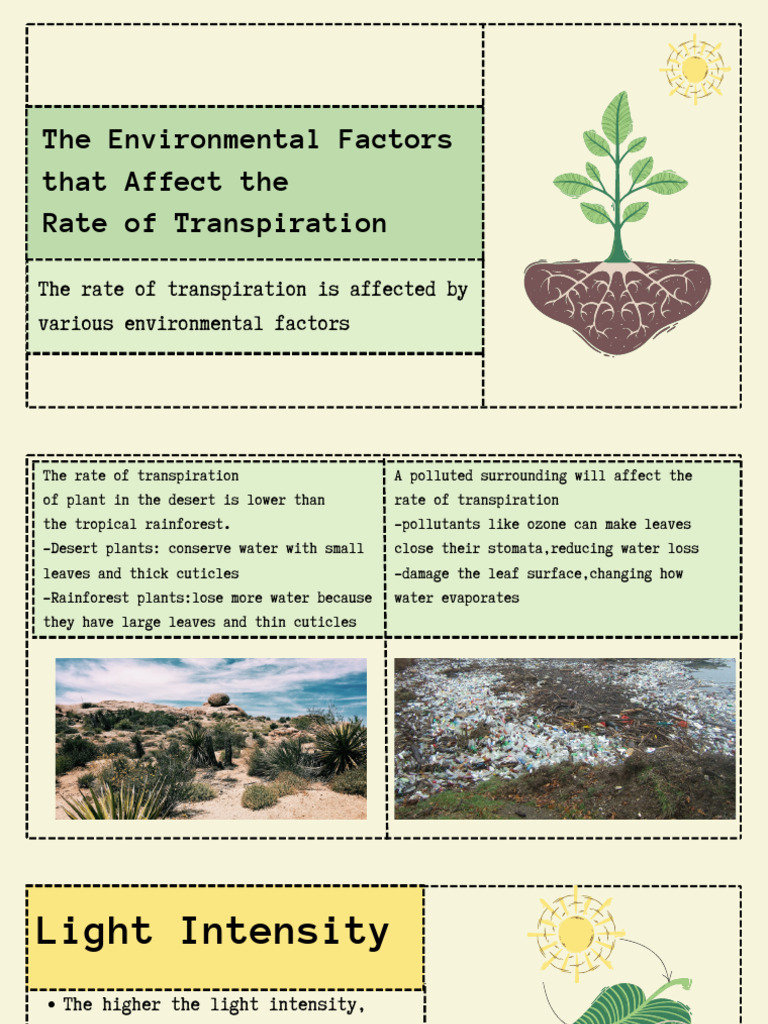 The Environment Factors That Affect The Rate of Transpiration | PDF