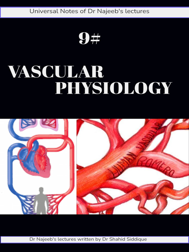 Vascular Physiology | PDF