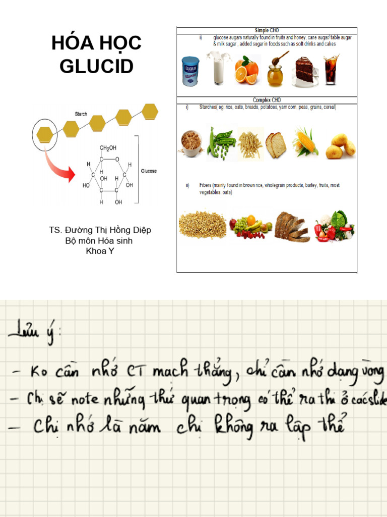 HH Glucid Note | PDF