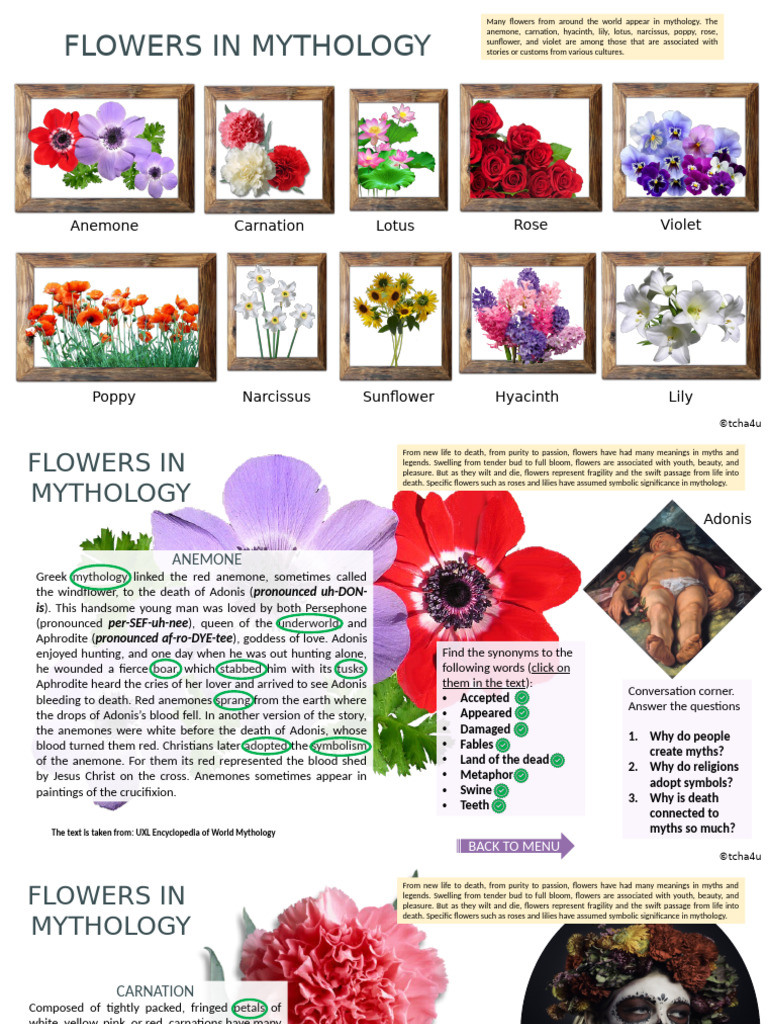 Flowers in Mythology With Tasks | PDF