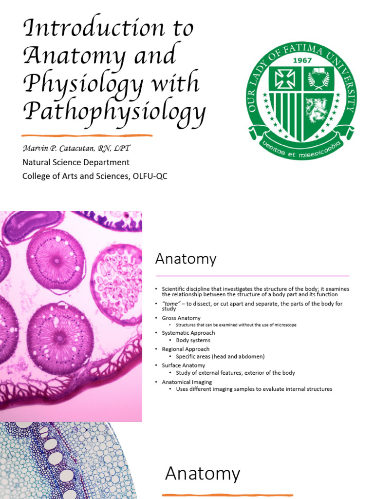 Anatomy, Physiology, and Pathophysiology Guide | PDF | Peritoneum | Anatomy
