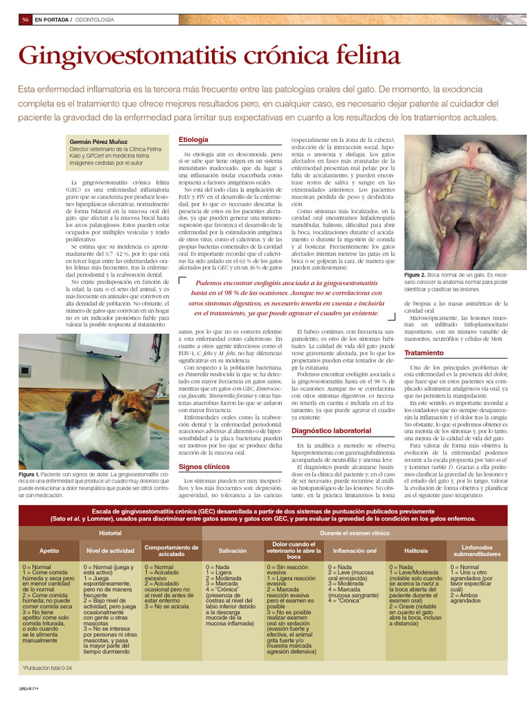 muñoz-2022-feline-chronic-gingivostomatitis | PDF | Gatos | Odontología