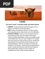 Camel | PDF