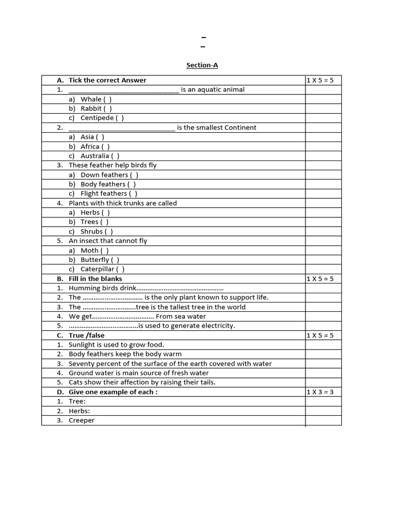 3RD CLASS QUESTION PAPER SAMPLE | PDF