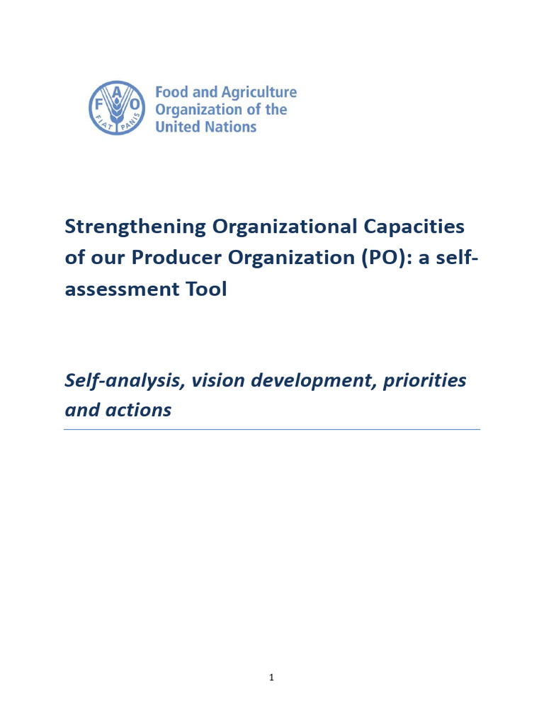Organizational Capacity Self Assessment Tool | PDF | Governance | Food And Agriculture Organization