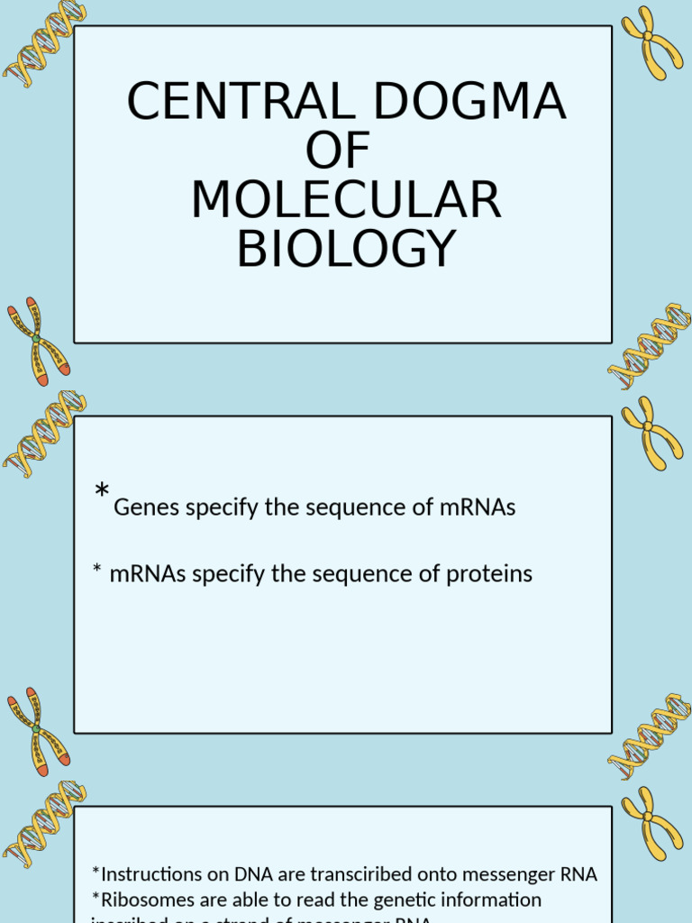 Central Dogma of Molecular Biology No Video | PDF | Dna | Messenger Rna