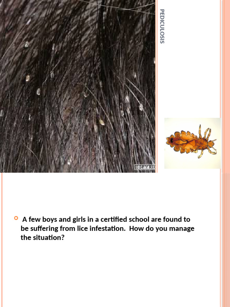 Epidemiological Exercise On Pediculosis | PDF