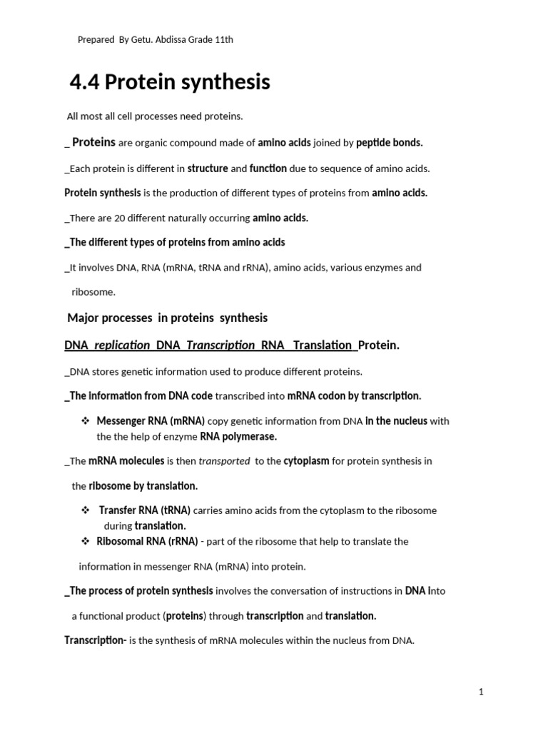 4.4 Protein syn-WPS Office | PDF | Translation (Biology) | Dominance (Genetics)